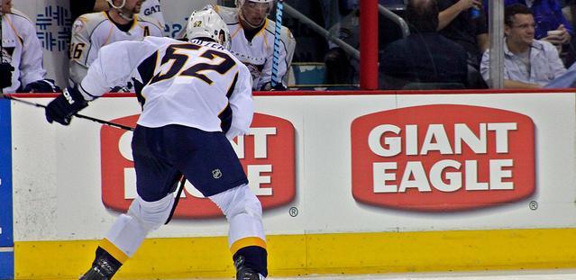 Preds trade Alexander Sulzer to Panthers… – Section303.com